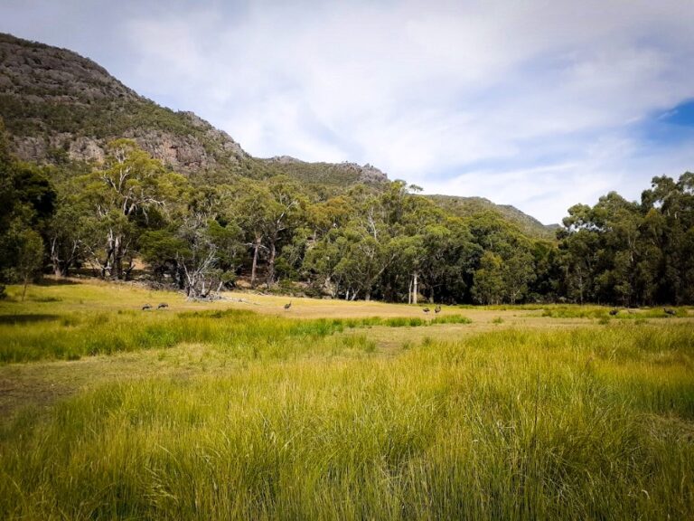 3 Unforgettable Nature Day Trips From Melbourne - The Wild Globetrotter