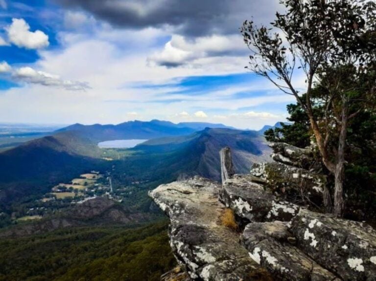 3 Unforgettable Nature Day Trips From Melbourne - The Wild Globetrotter