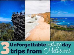 3 Unforgettable Nature Day Trips From Melbourne - The Wild Globetrotter