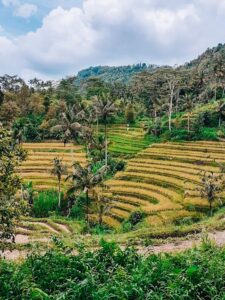 8 Reasons Why YOU must visit Sidemen village Bali! - The Wild Globetrotter